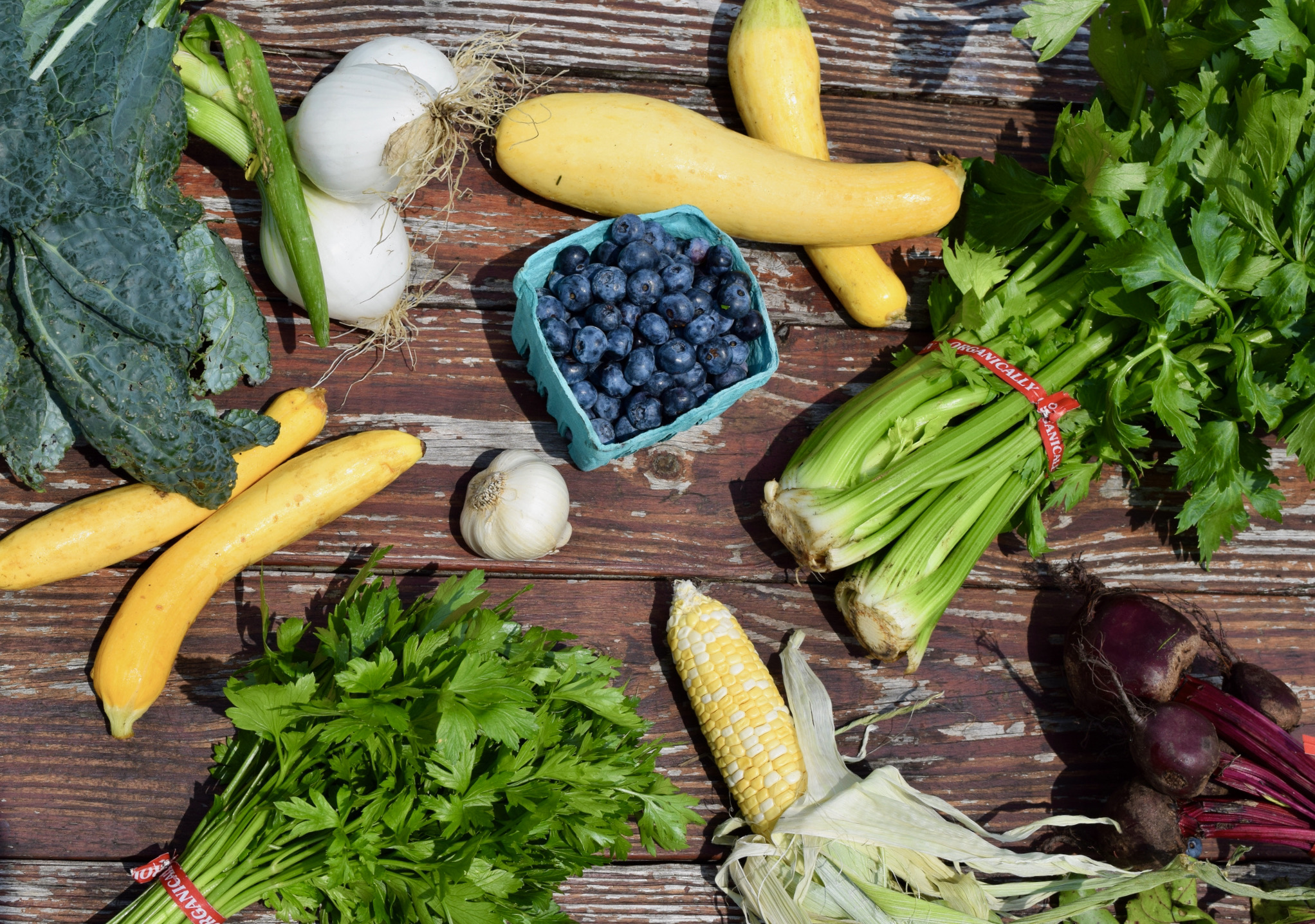 Local Food Systems – Fable